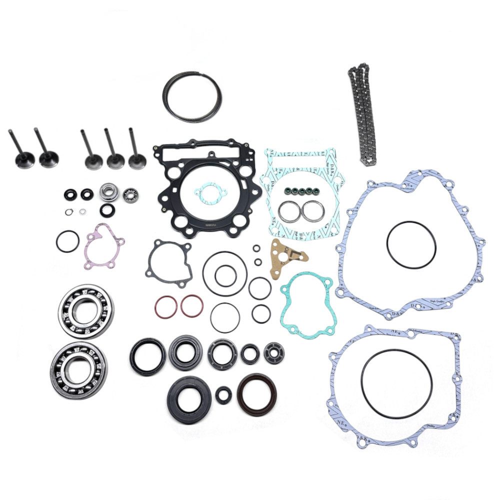 Yamaha Grizzly 660 Master Engine Refresh Kit